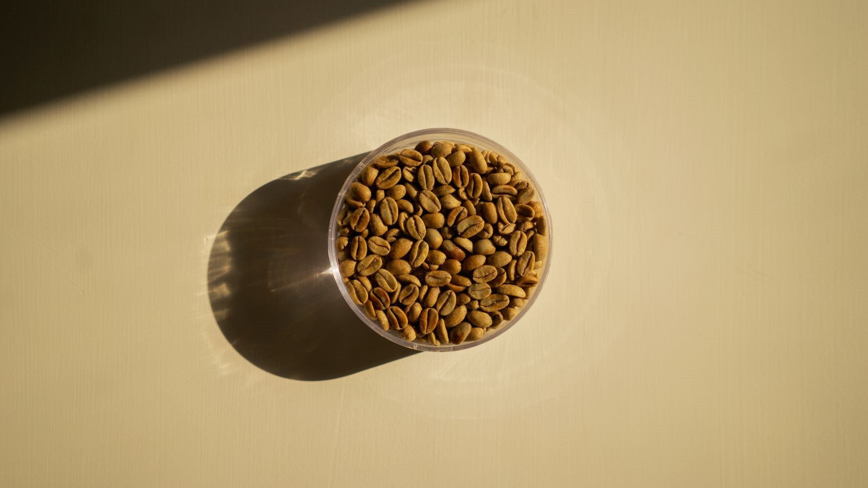 Green Beans – Studio Caffeine Roastery